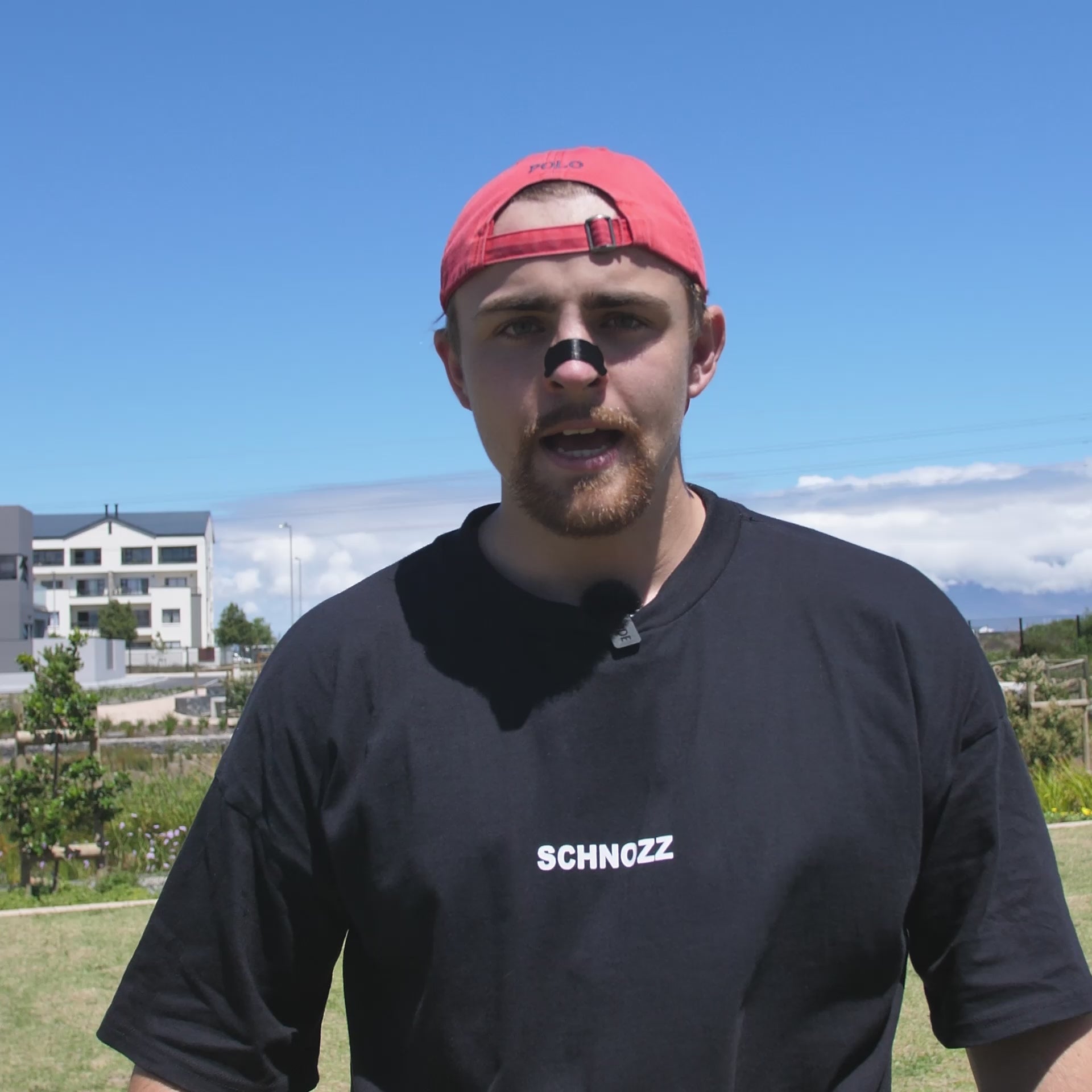 Schnozz Strips